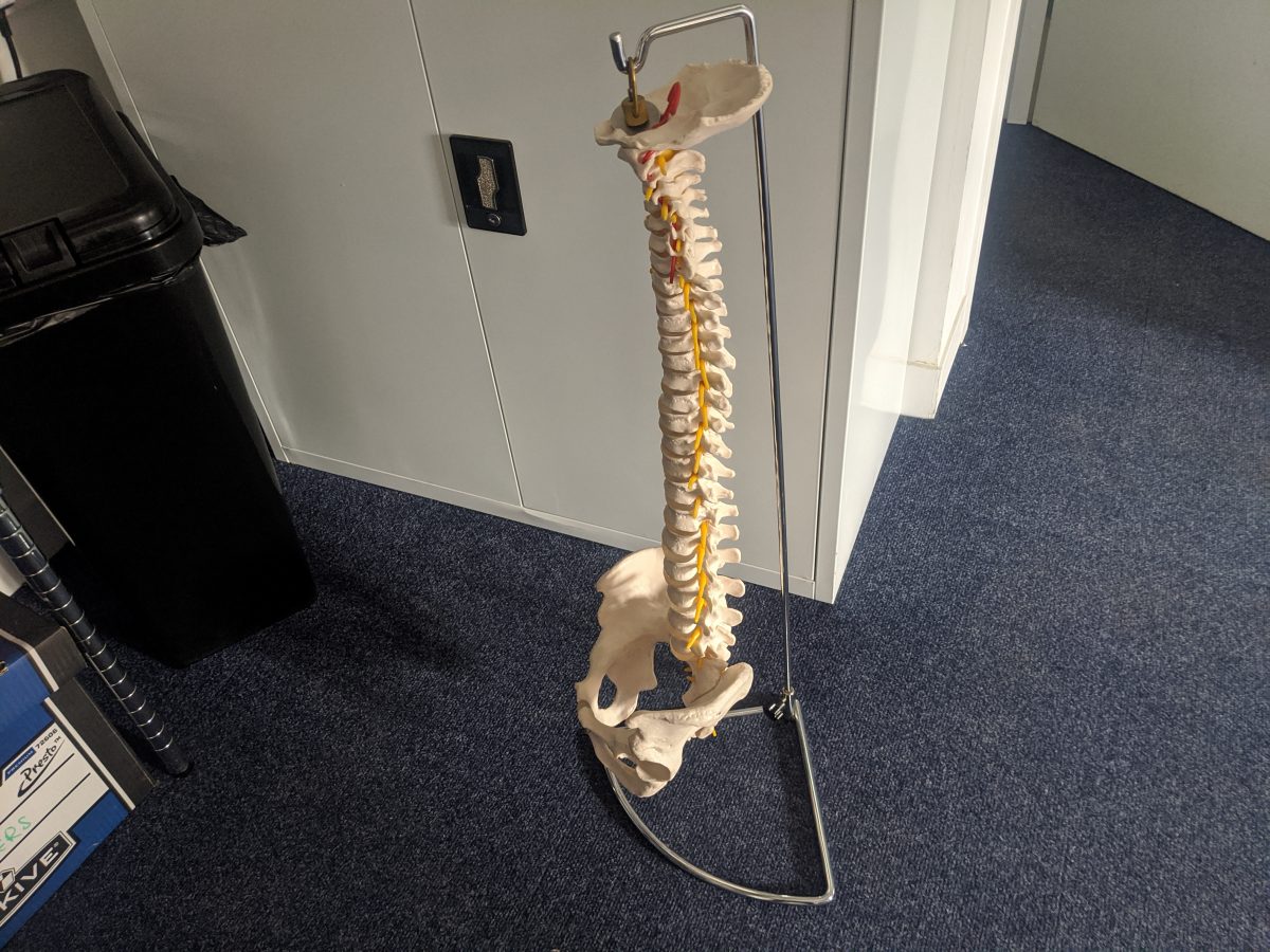 Staff heavy lifting training - Tekeurope